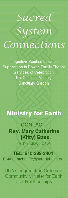 Sacred System Connections
