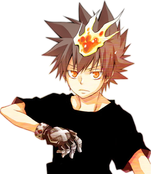 Tsunayoshi Sawada
