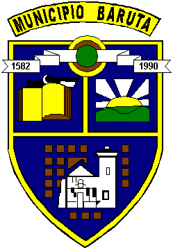 Comisión de Salud y Asuntos Sociales - Baruta