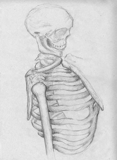 skeleton sketch