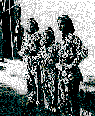 sammo hung kung fu - sammo hung biography