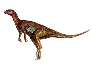 Museo de Dinosaurios. Centro Oeste Argentina