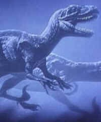 Museo de Dinosaurios. Centro Oeste Argentina