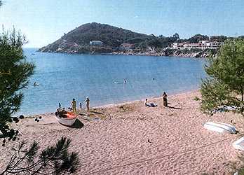 LA FOSCA