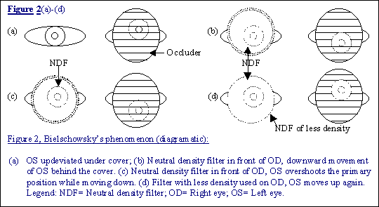 InteRyc - CYCLOVERTICAL DEVIATIONS