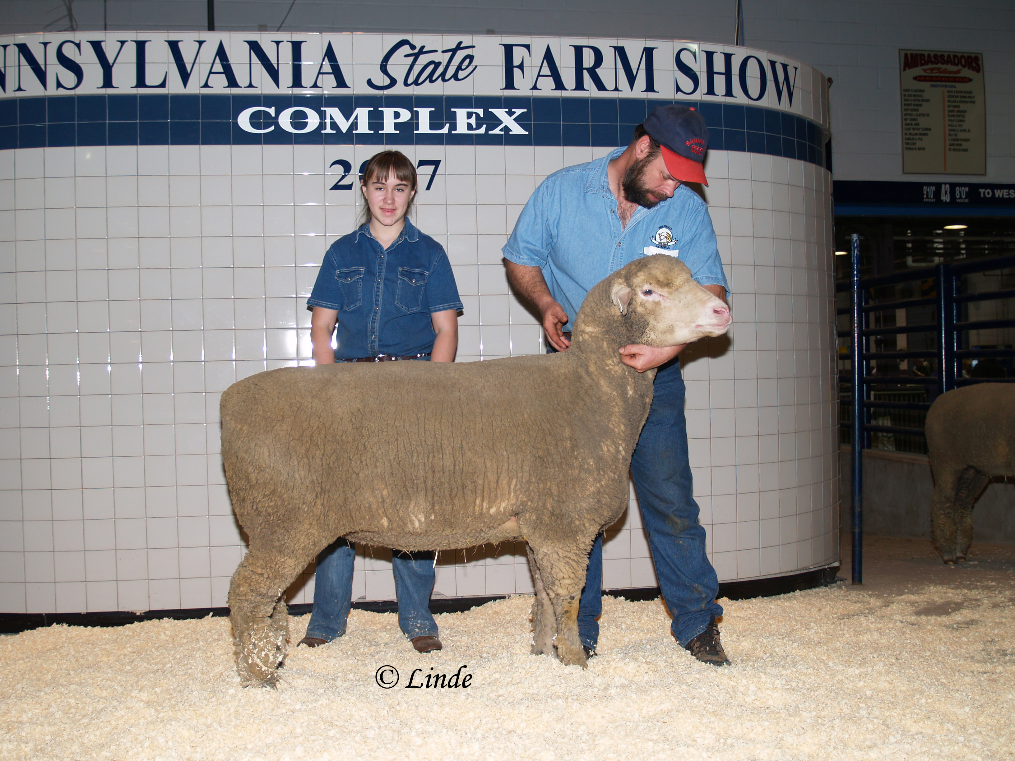 Labeling Sheep Breed Types