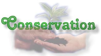 Di's Conservation Opener