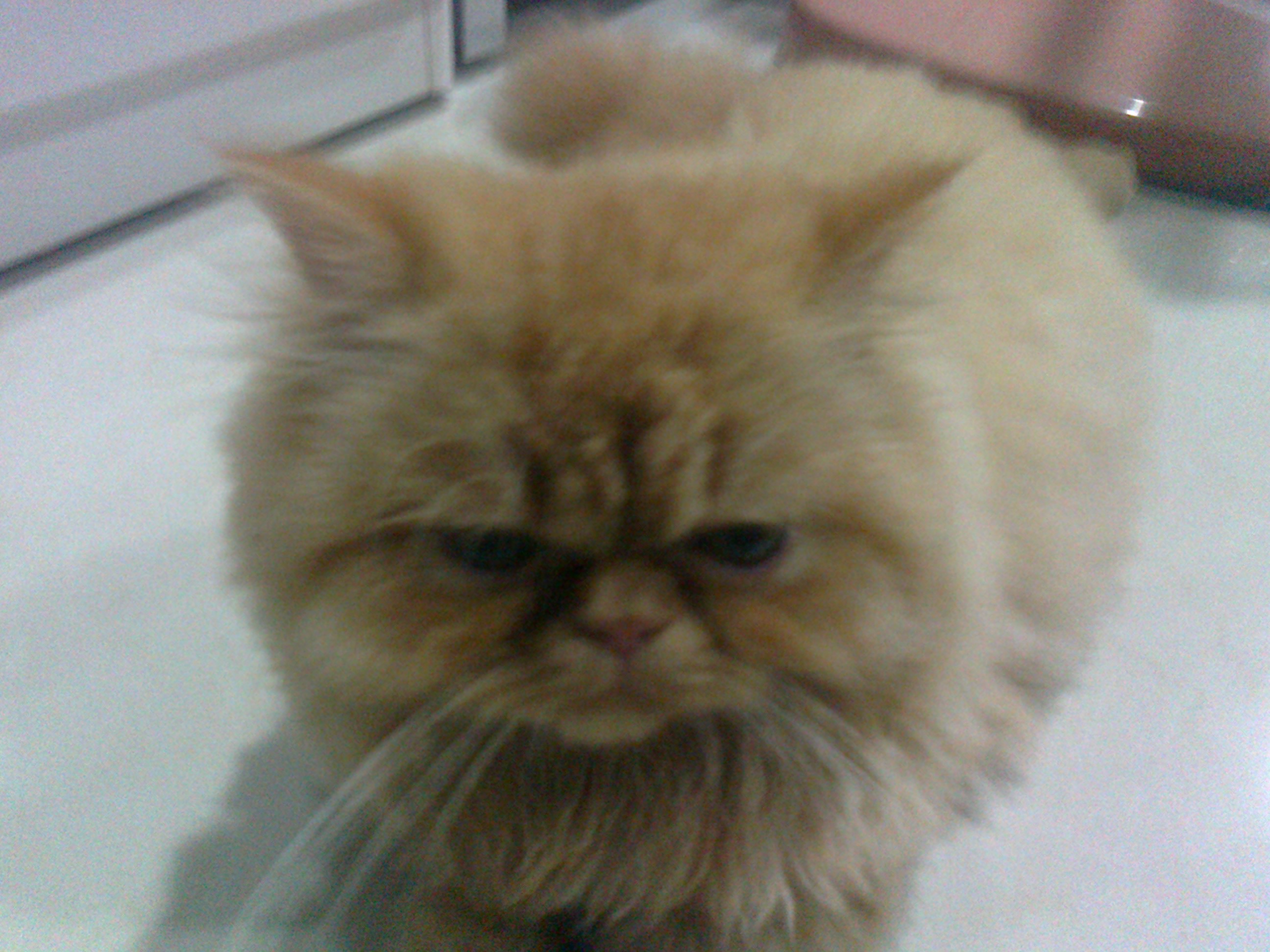 Home page of satothailand - www.Geocities.ws