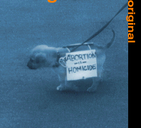 Saving Arrows [ original ]