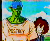 Piccolo Pics