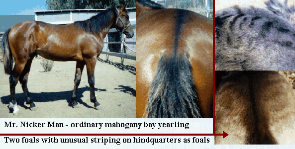 Update & Contact Information