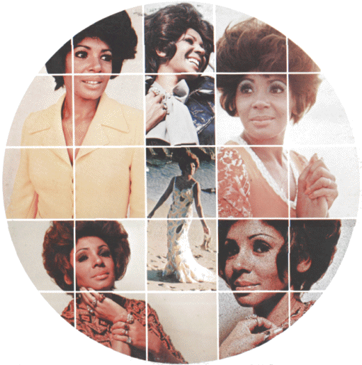 Miss Bassey - Gallery