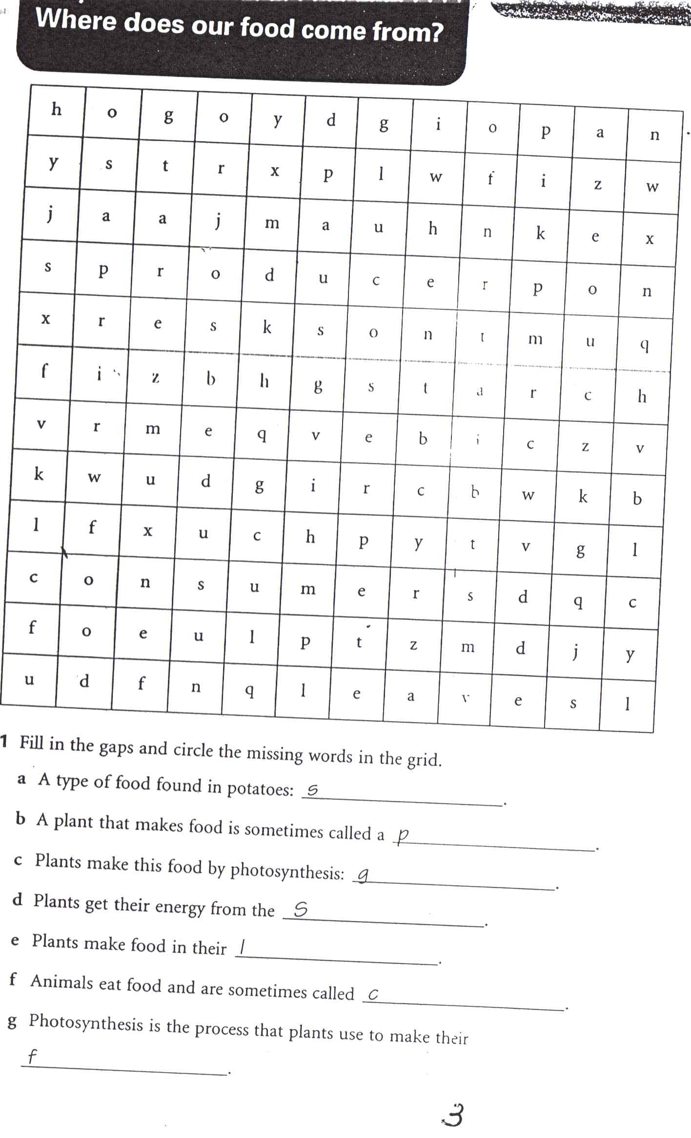 PlantsLesson1