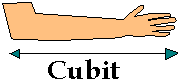 Cubit Measurement
