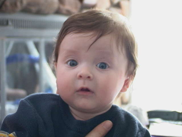 Yahoo! GeoCities - scott_lehman's Home Page