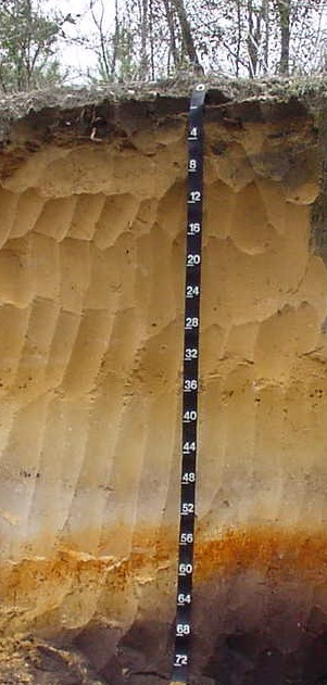 index [www.geocities.ws]