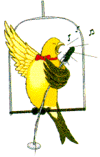 Canary Song Contests Explained