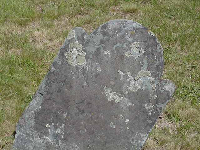 The Sampson Family of Plymouth Colony