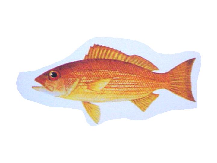 Pinjalo_snapper.page
