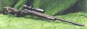 Sniper Rifles
