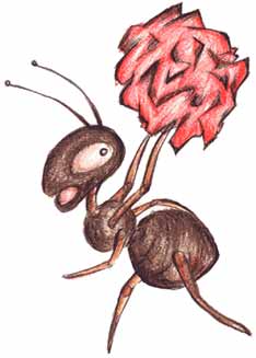 Character Design - Character Profile - Ants