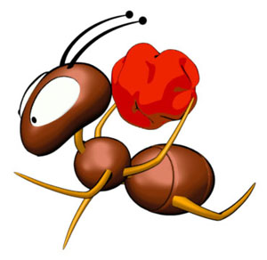 Production - Character - Ants