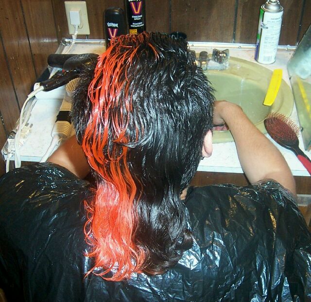 ATTAK OF THE MULLET!