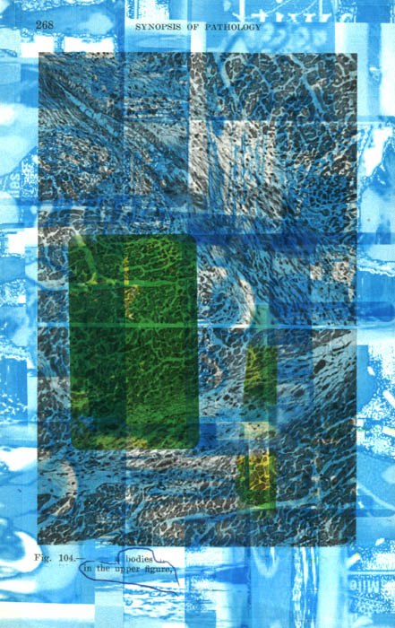 the artist books of Fran Horne