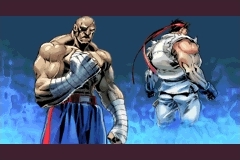 Sagat