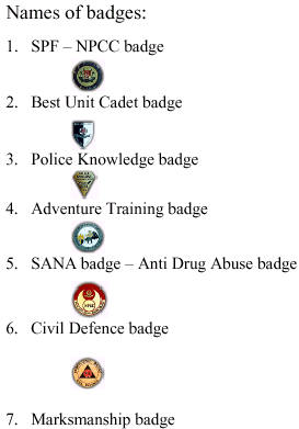 NPCC Badges Webpage