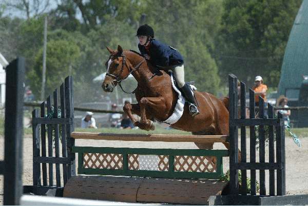 Welcome to Shadowlane Stable!