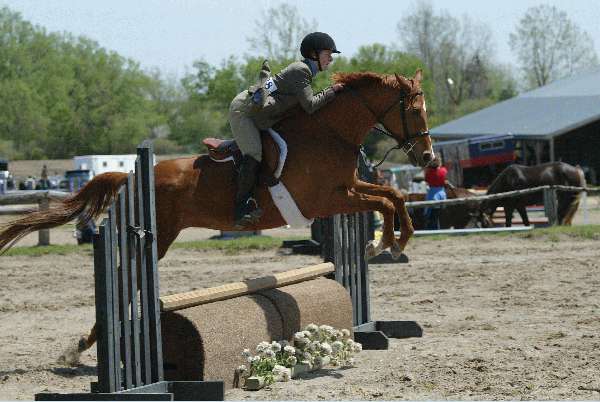 Welcome to Shadowlane Stable!