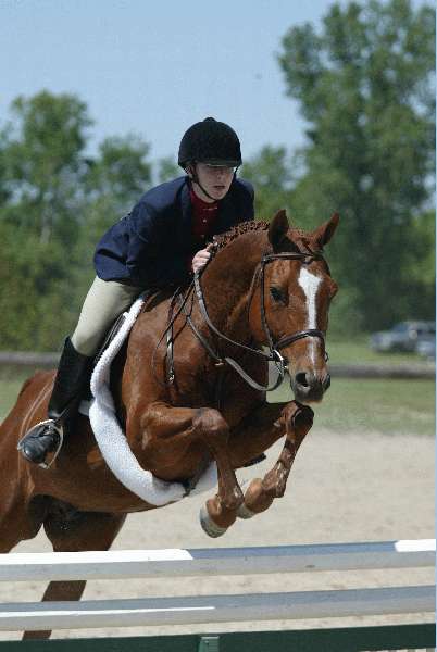 Welcome to Shadowlane Stable!