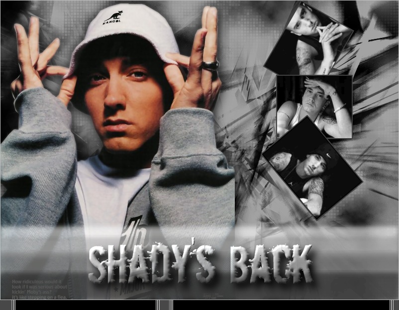 Shady's Back!