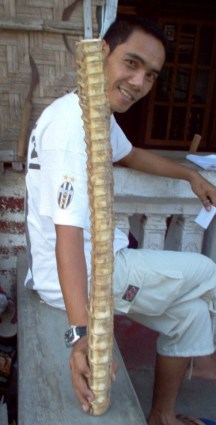 Shark bone and cartilage clean from Lombok Indonesia