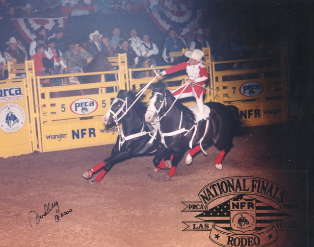 Shawn Brackett, Roman Riding Sensation