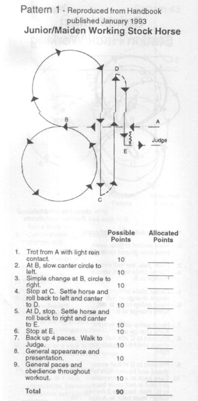Australian Stock Horses
