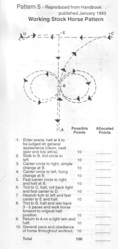 Australian Stock Horses