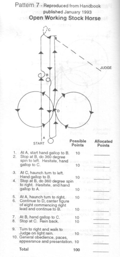 Australian Stock Horses