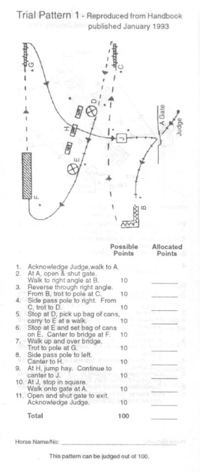 Australian Stock Horses