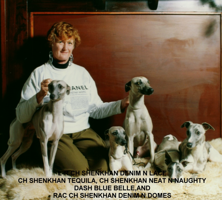 Shenkhan Whippets
