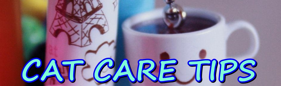 CAT CARE TIPS