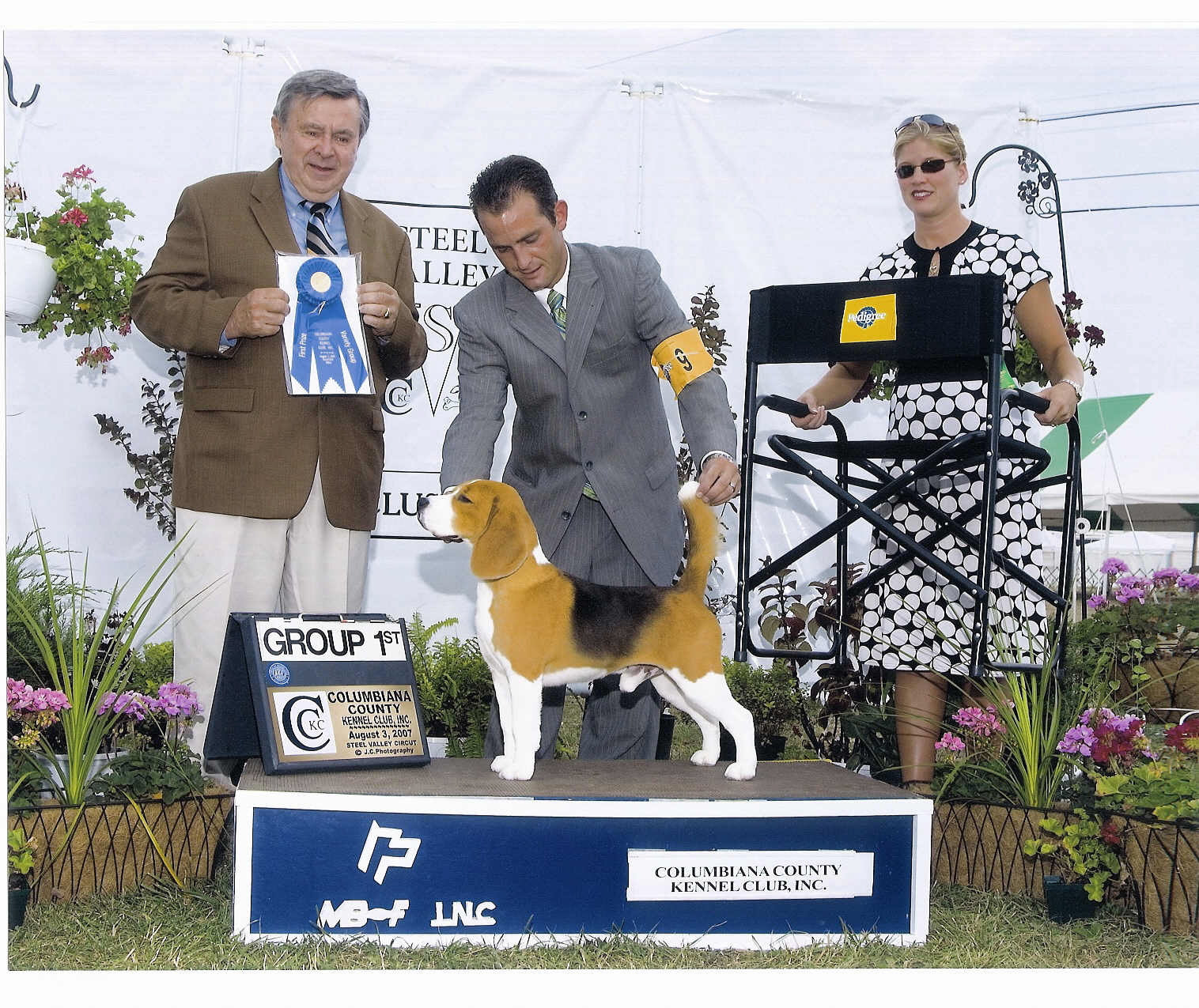K-Run Kennels - Uno - 2008 Westminster Kennel Club BIS winner