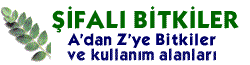 Şifalı Bitkiler , bitkilerle tedavi, bitkisel tedavi, sifali bitkiler