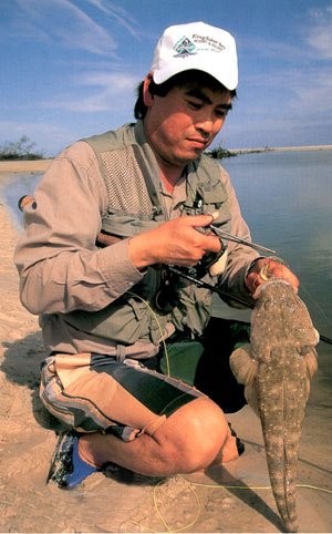 Flathead Fish Saltwater
