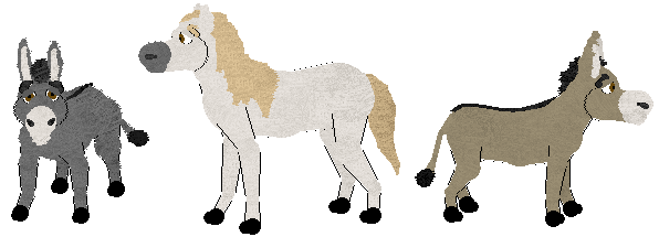 Silent Wolf Kennelz bounced back!