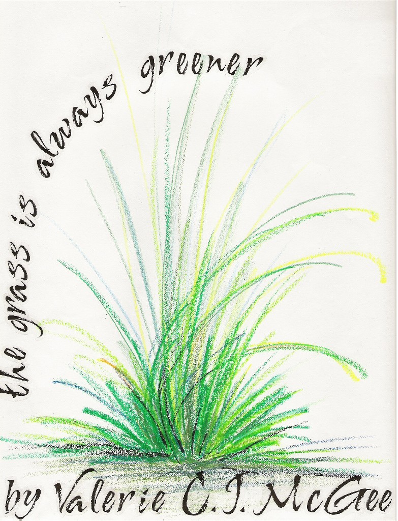 Silver Fox's Den Interview Jerri Council