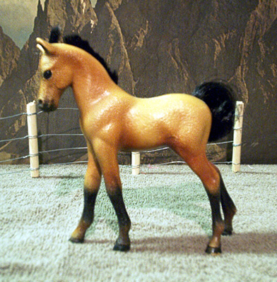 Welcome to Silver Wolf Ranch