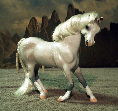 Welcome to Silver Wolf Ranch