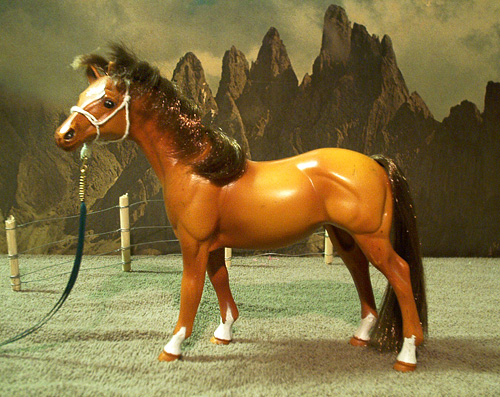 Welcome to Silver Wolf Ranch